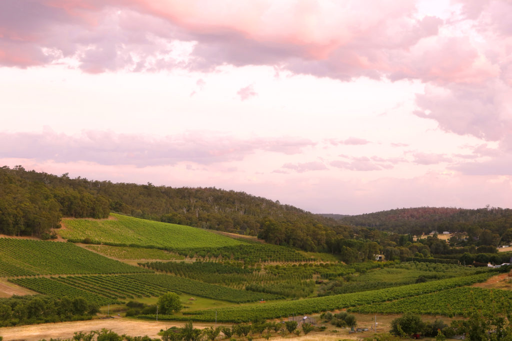 Bickley Valley Wine Trail - Perth Hills Wineries | Hello Perth