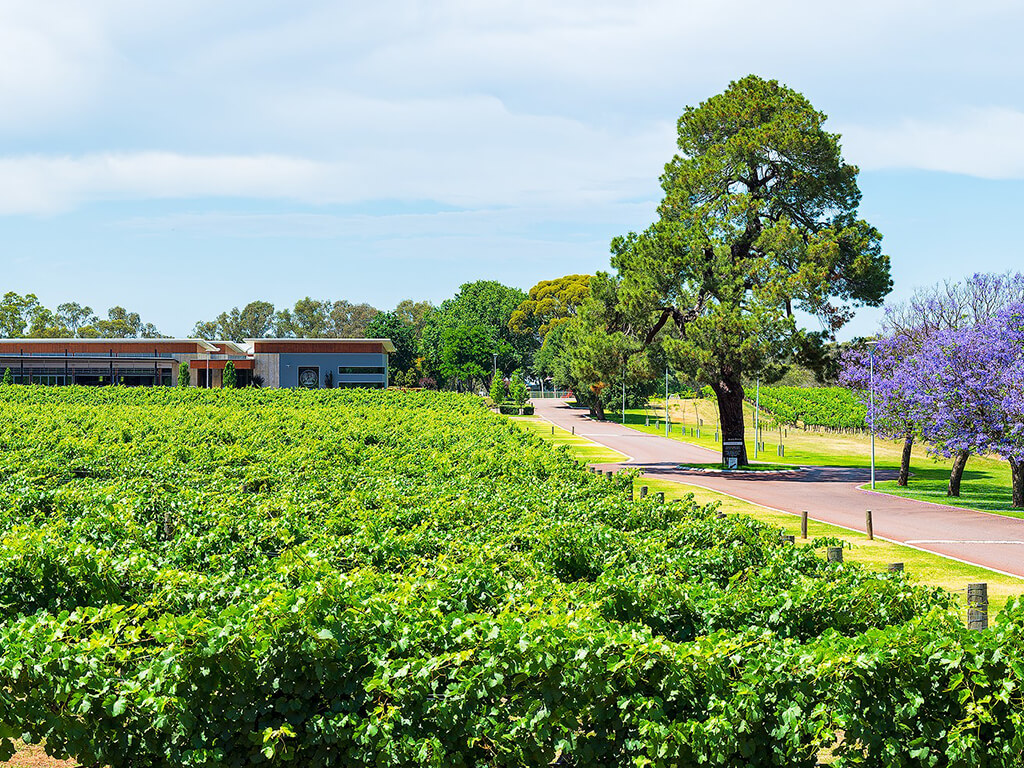 Mandoon Estate - Hello Perth