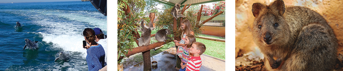 Wildlife Experiences in Perth - Hello Perth