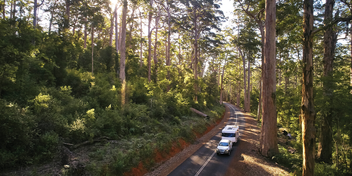 Shire of Manjimup - Hello Perth