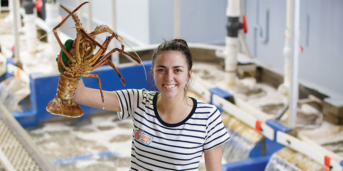 Lobster Shack - Hello Perth
