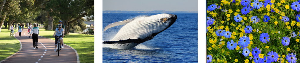 Things To Do in Spring - Hello Perth