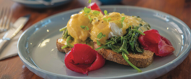 Bayside Barista - Hello Perth