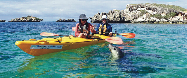 Sea Kayak Eco Adventure Tours - Hello Perth