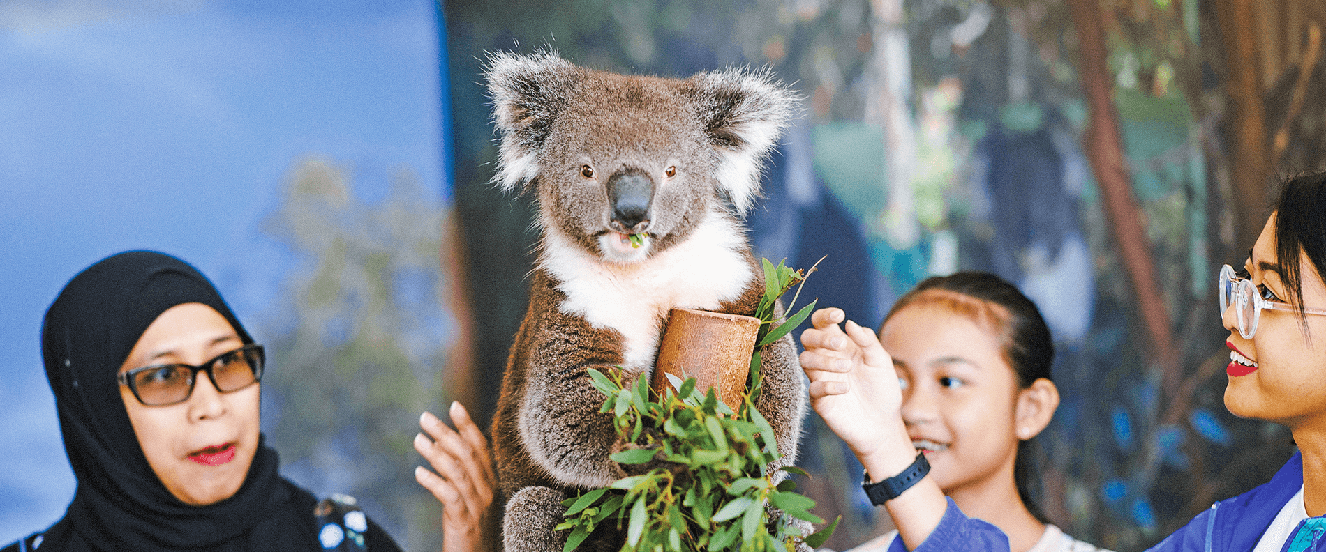 Perth Short Stay Tours - Hello Perth