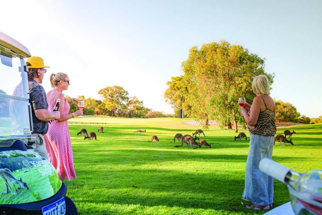 Kangaroo Safari at The Vines Resort - Hello Perth