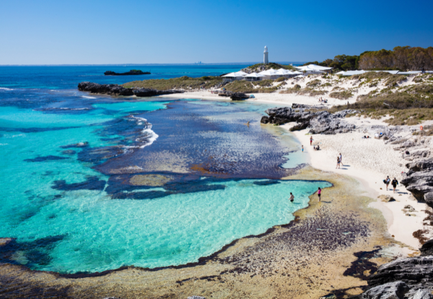 Top Things to Do in Rotto - Hello Perth