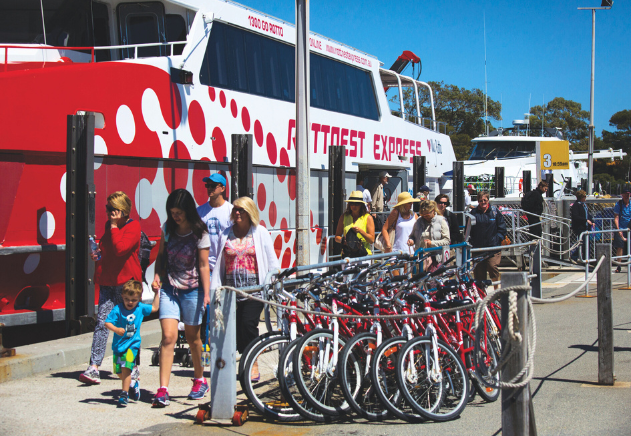 Top Things to Do in Rotto - Hello Perth