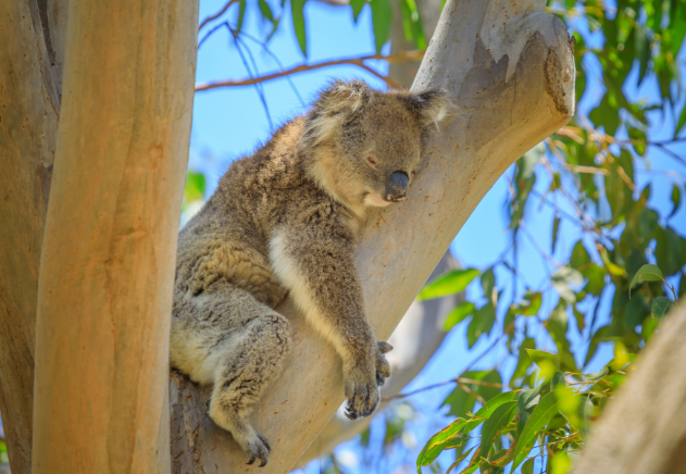 The Best National Parks in and Around Perth - Hello Perth