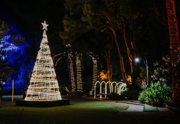 Celebrate Christmas in Perth 2025: The Best Events, Shows, Dinners and ...