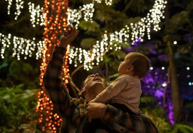 Celebrate Christmas in Perth 2025: The Best Events, Shows, Dinners and ...